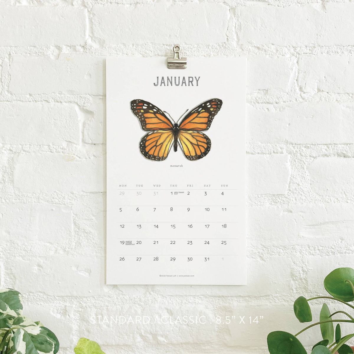 2026 Calendars: Butterflies & Moths – Bright and Day